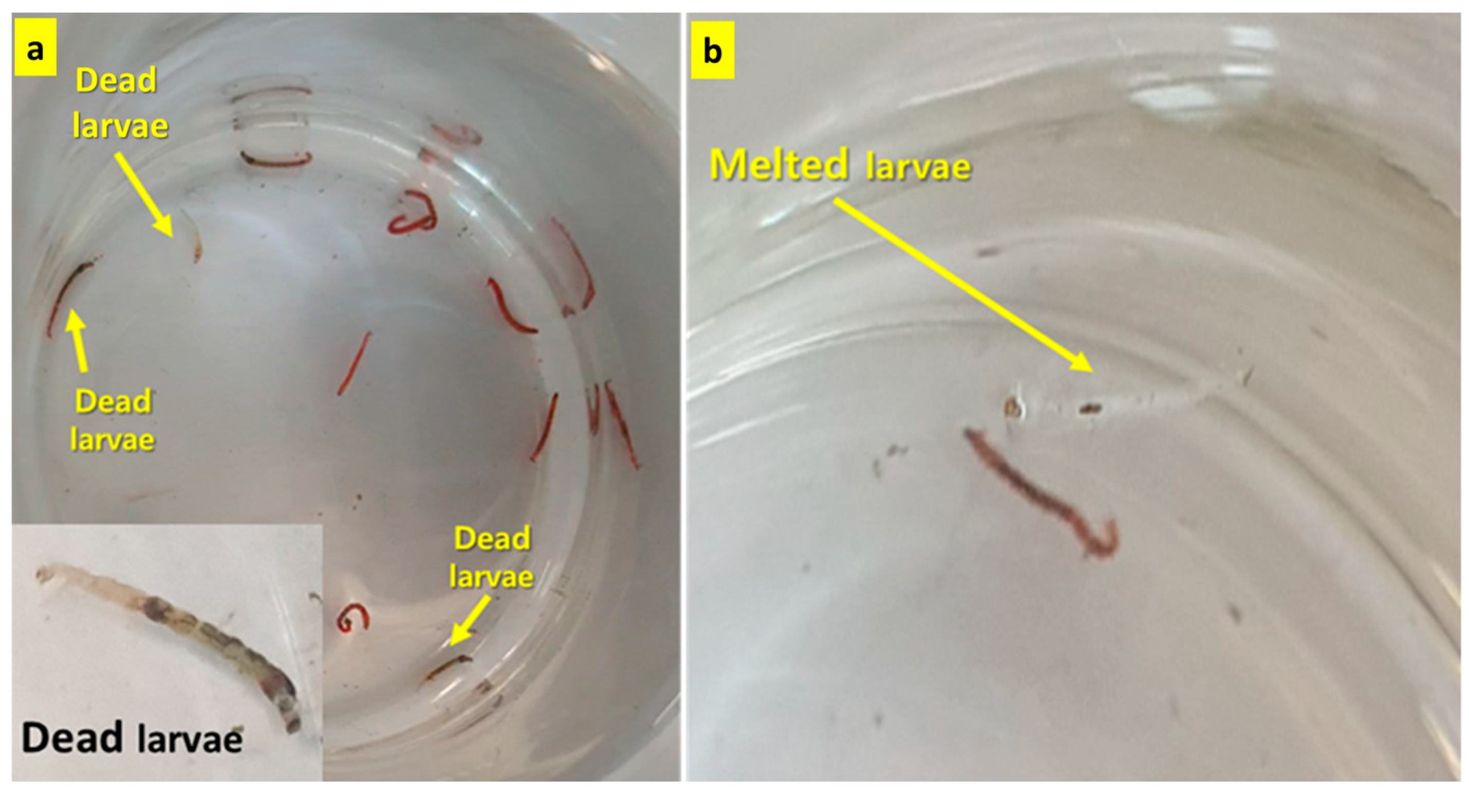 Applied Sciences | Free Full-Text | Assessing the Efficacy of ...