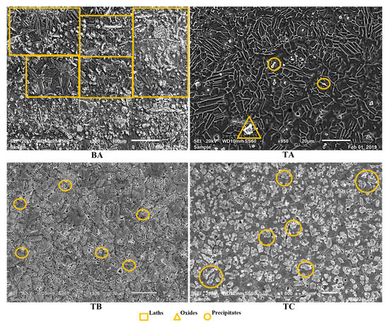 Insights on Niobium Micro-Alloyed Laser In Situ Synthesised Gamma ...