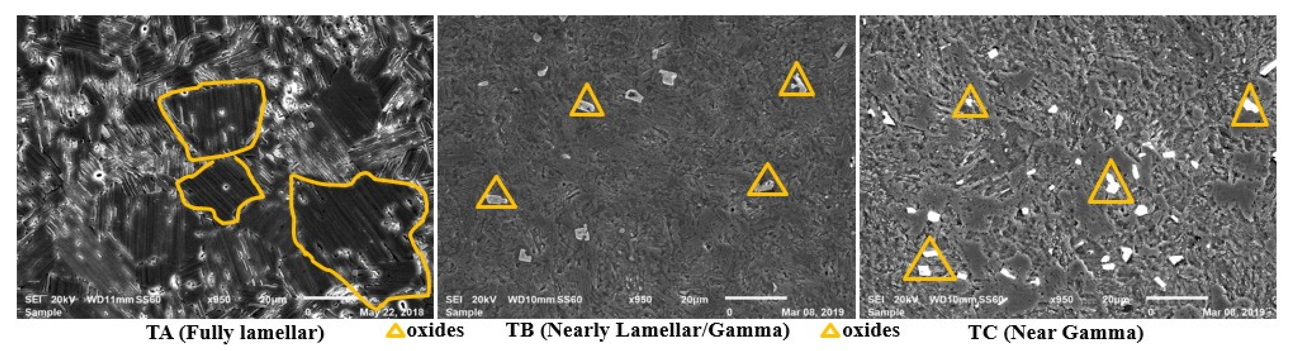 Insights on Niobium Micro-Alloyed Laser In Situ Synthesised Gamma ...