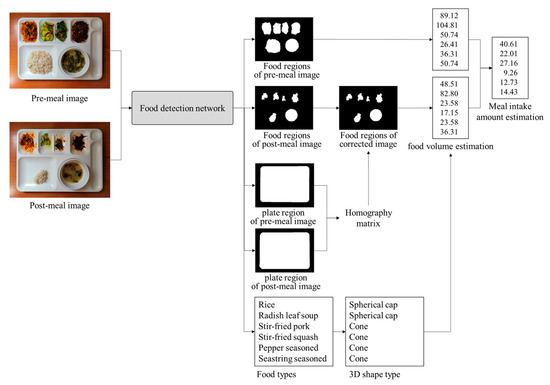 Food Classification and Meal Intake Amount Estimation through Deep Learning