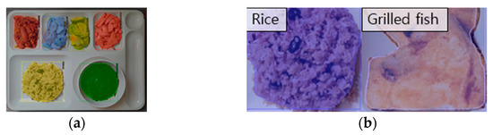 Food Classification and Meal Intake Amount Estimation through Deep Learning
