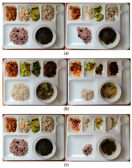 Food Classification and Meal Intake Amount Estimation through Deep Learning