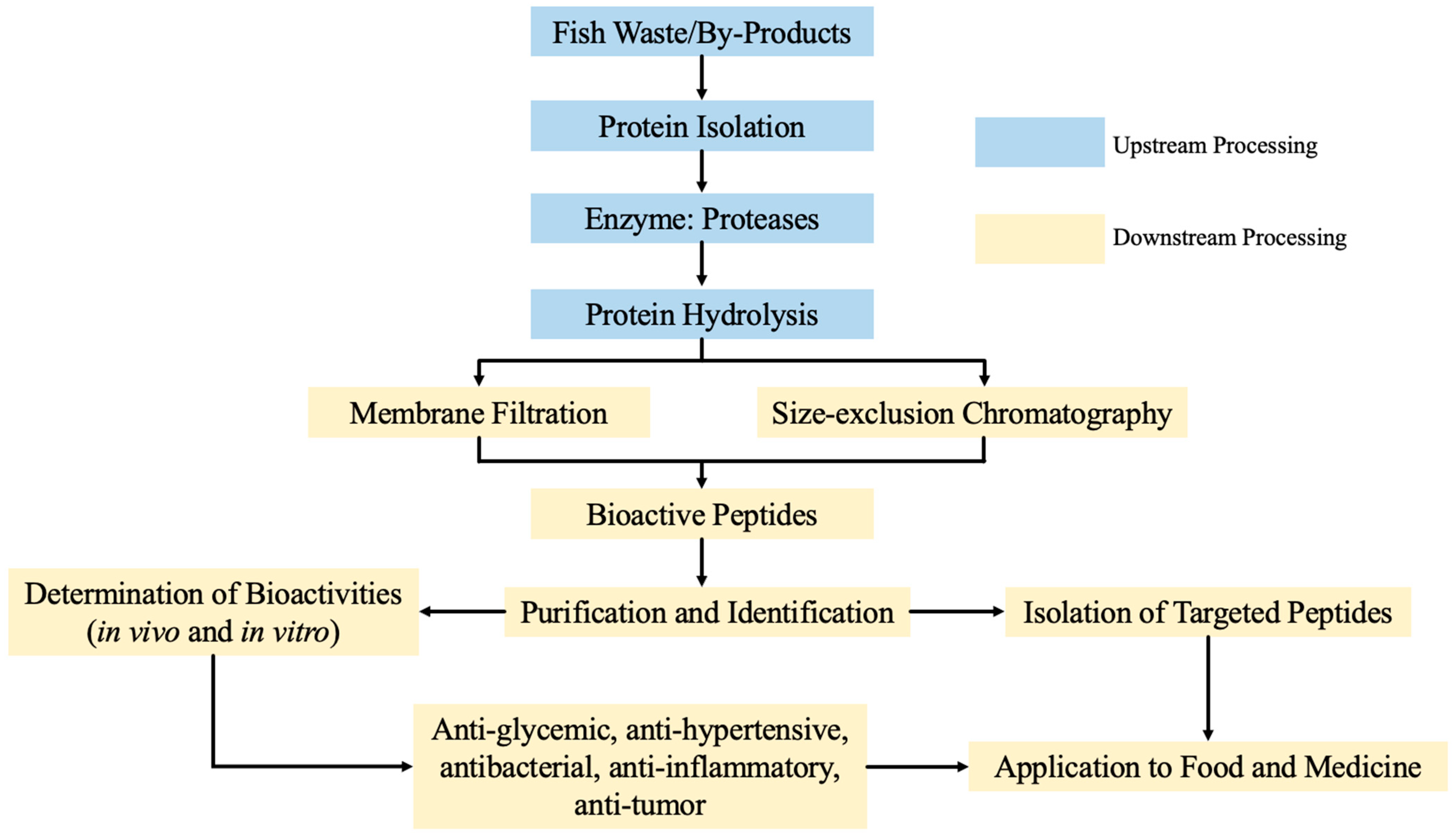 Extraction of Novel Bioactive Peptides from Fish Protein Hydrolysates ...