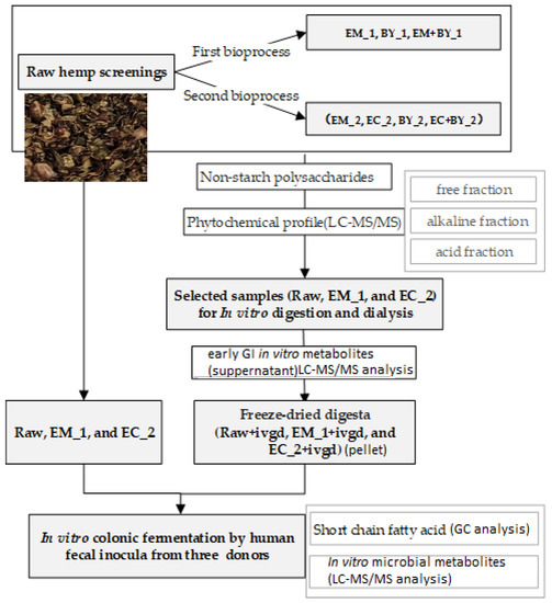 Bioprocessing of Hempseed (Cannabis sativa L.) Food By-Products ...