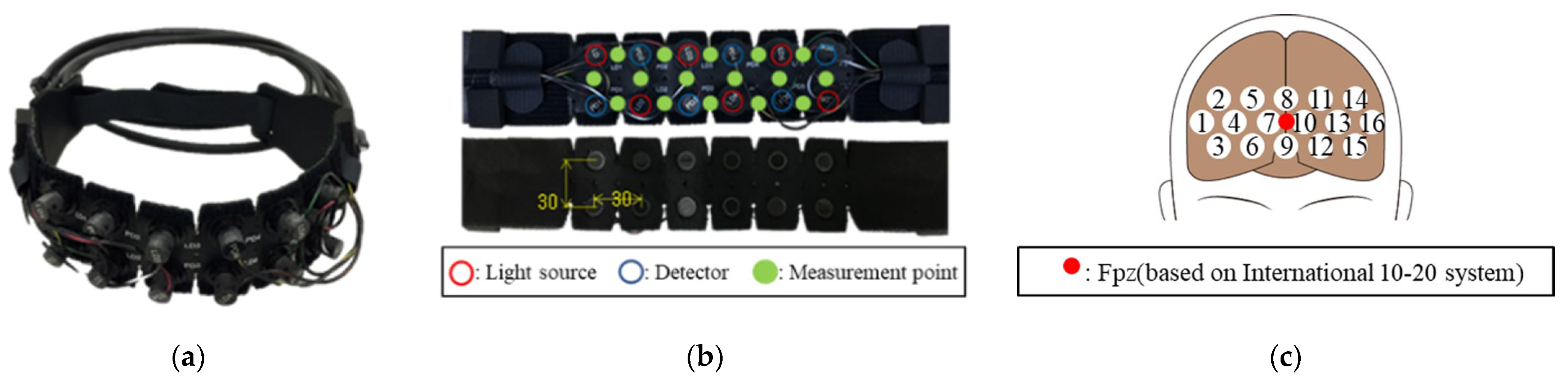 Physiological Study of Visual and Non-Visual Effects of Light Exposure