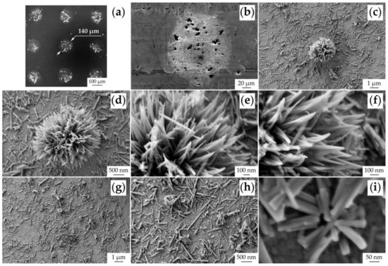 Synthesis and Printing Features of a Hierarchical Nanocomposite Based ...