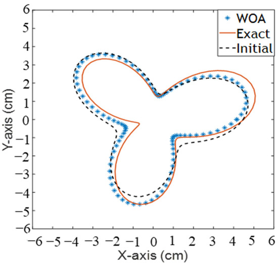 Microwave Imaging for Half-Space Conductors Using the Whale ...