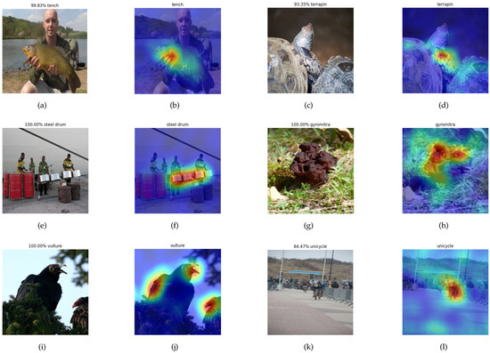 Applied Sciences | Free Full-Text | OISE: Optimized Input Sampling Explanation with a Saliency ...