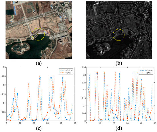 Optical and SAR Image Registration Based on the Phase Congruency Framework
