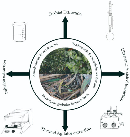 Anthocyanins and Total Phenolic Compounds from Pigment Extractions of ...