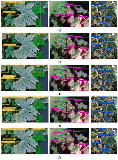 Identification of Grape Diseases Based on Improved YOLOXS