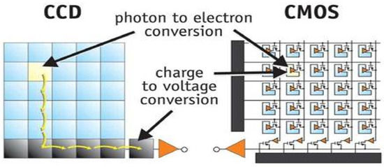Applied Sciences | Free Full-Text | A Review of Plant Disease Detection ...