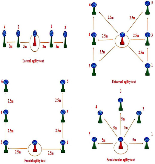 Innovative Protocols for Determining the Non-Reactive Agility of Female ...