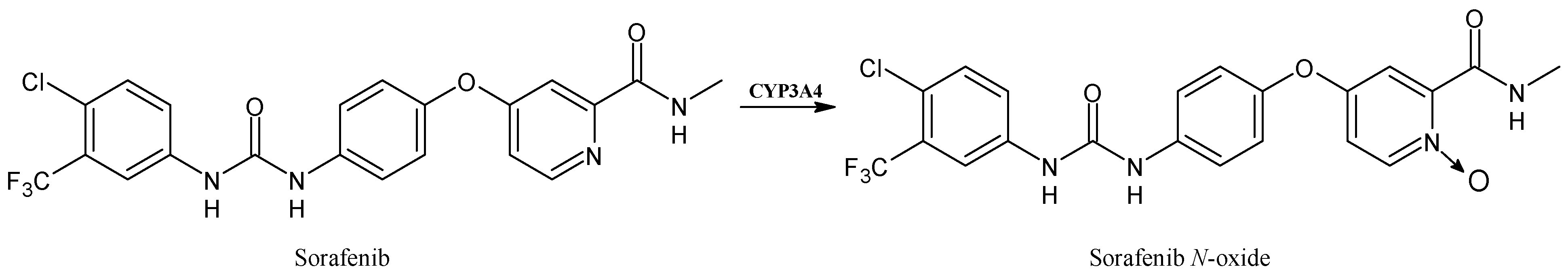 Impact of Cytochrome P450 Enzymes on the Phase I Metabolism of Drugs