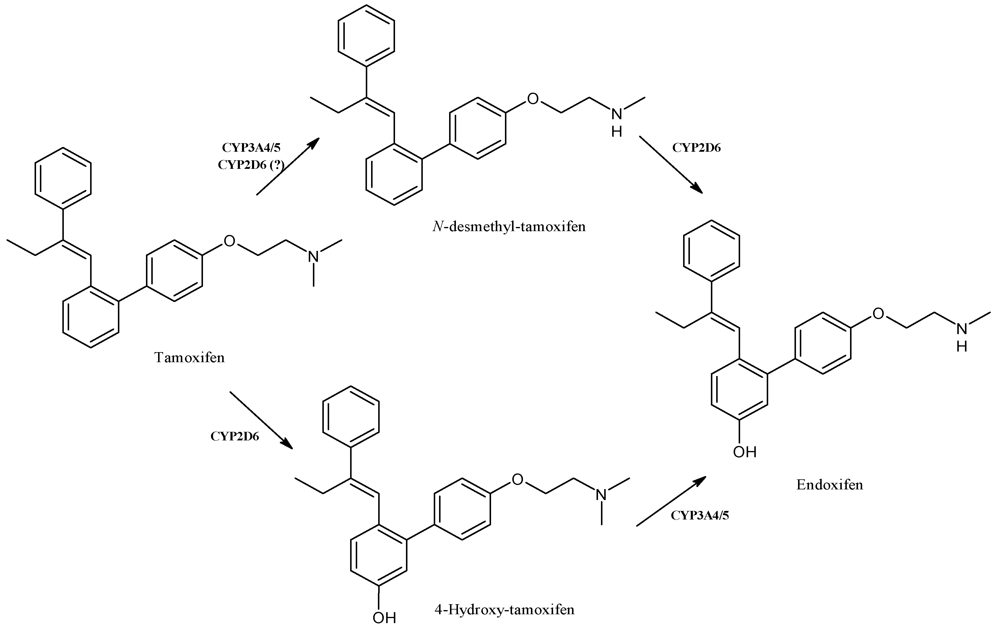 Impact of Cytochrome P450 Enzymes on the Phase I Metabolism of Drugs