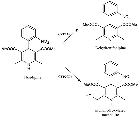 Impact of Cytochrome P450 Enzymes on the Phase I Metabolism of Drugs