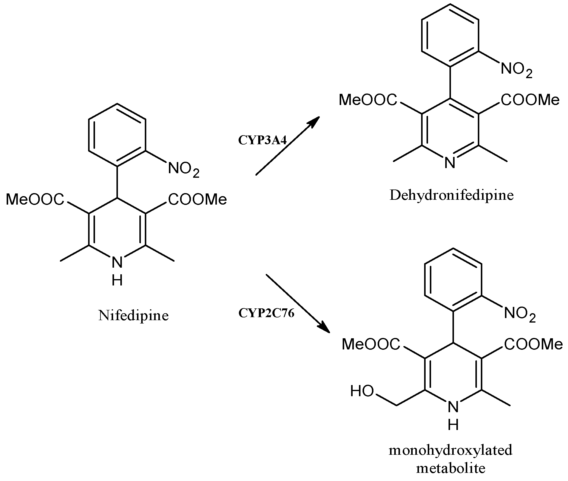 Impact of Cytochrome P450 Enzymes on the Phase I Metabolism of Drugs