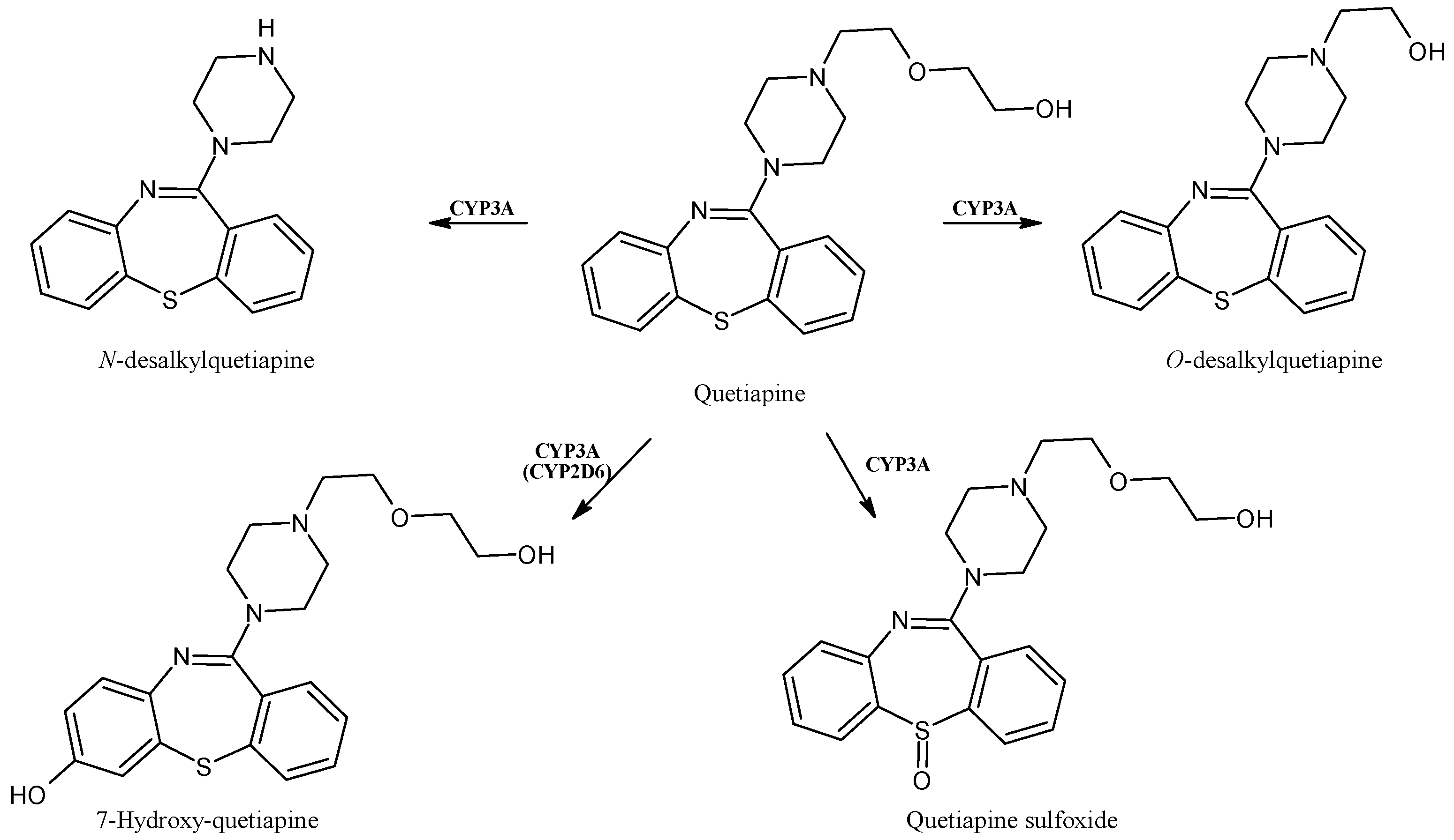 Impact of Cytochrome P450 Enzymes on the Phase I Metabolism of Drugs