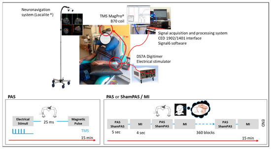Motor Imagery and Paired Associative Stimulation in Poststroke ...
