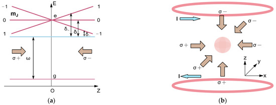 Magneto-Optical Traps for Cold Atomic Gravimetry: Research Status and ...