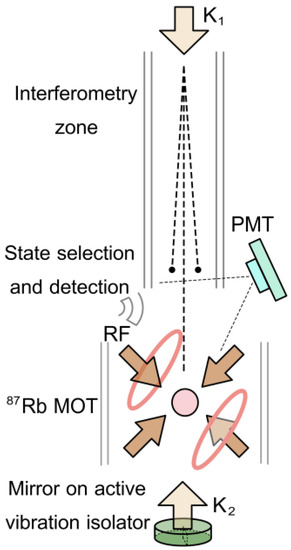 Magneto-Optical Traps for Cold Atomic Gravimetry: Research Status and ...