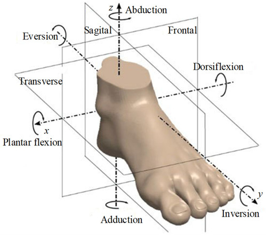 Structure Design, Kinematics Analysis, and Effect Evaluation of a Novel Ankle Rehabilitation Robot