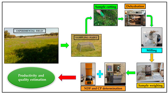 Applied Sciences | Free Full-Text | Montado Mediterranean Ecosystem ...