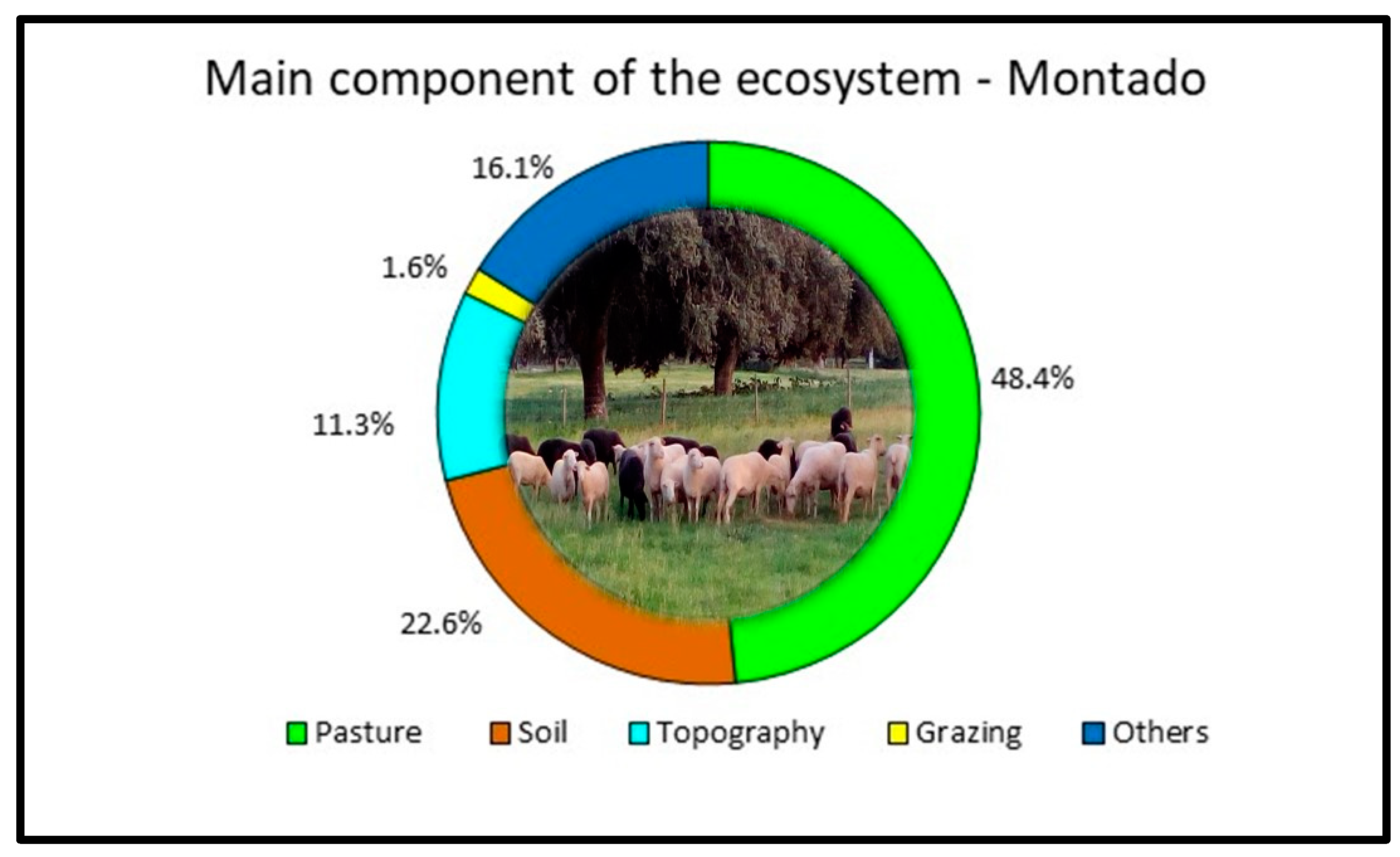 Montado Mediterranean Ecosystem (Soil–Pasture–Tree and Animals): A ...