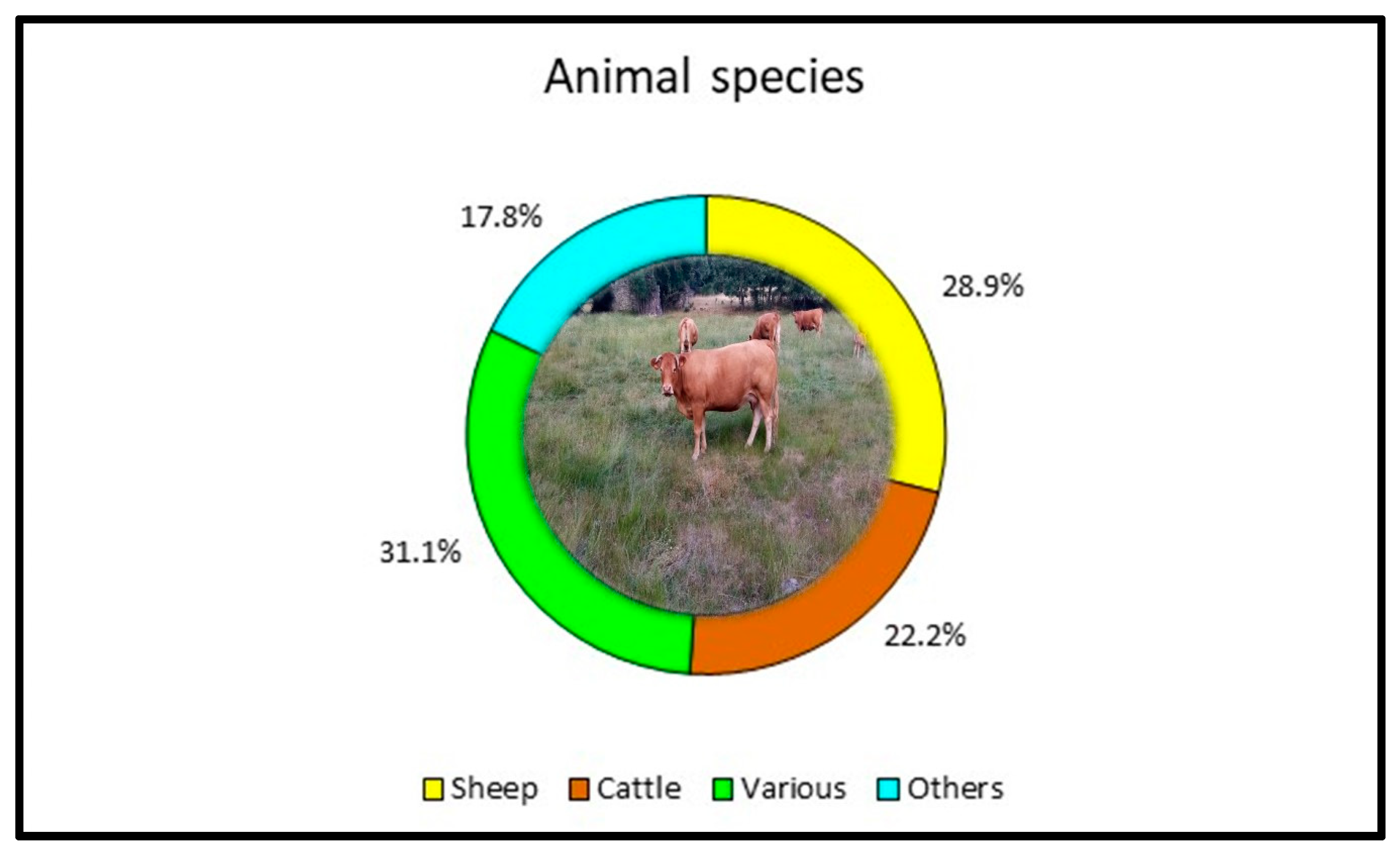 Montado Mediterranean Ecosystem (Soil–Pasture–Tree and Animals): A ...