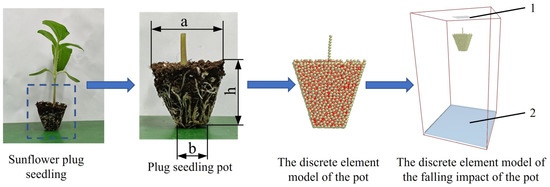Parameter Calibration and Optimization of a Discrete Element Model of Plug Seedling Pots Based ...