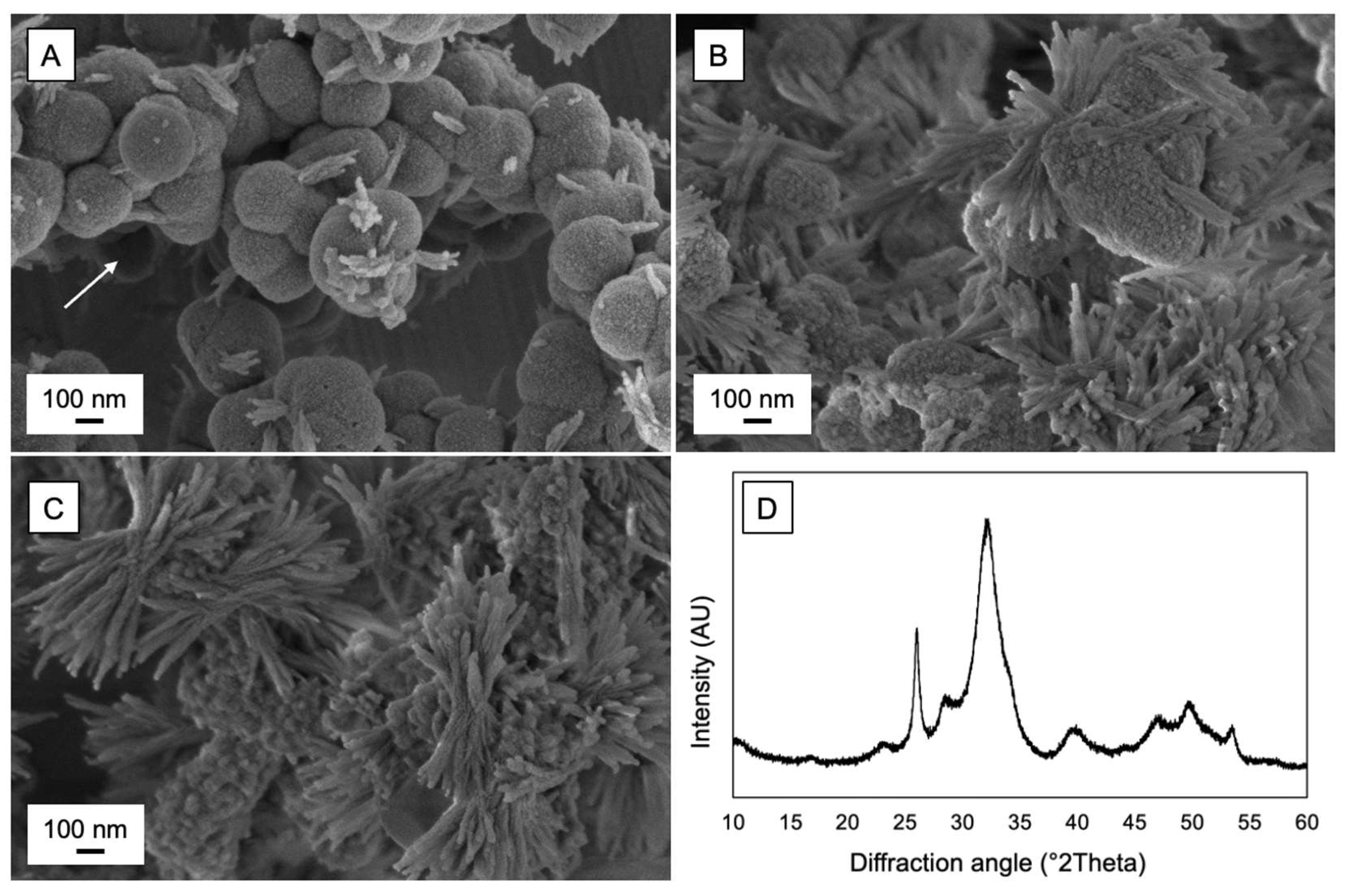 Amorphous Calcium Magnesium Fluoride Phosphate—Novel Material for ...