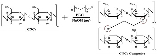 Surface Modification of Cellulose Nanocrystals (CNCs) to Form a ...