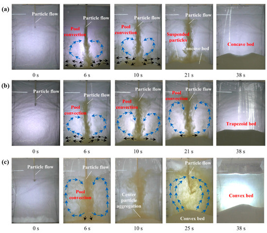 Characteristics and Mechanisms of Debris Bed Formation Behavior in ...