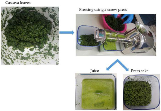 Valorization of Cassava By-Products: Cyanide Content and Quality Characteristics of Leaves and Peel