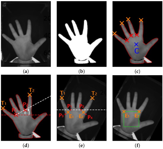 Contactless Palm Vein Recognition Based on Attention-Gated Residual U-Net and ECA-ResNet