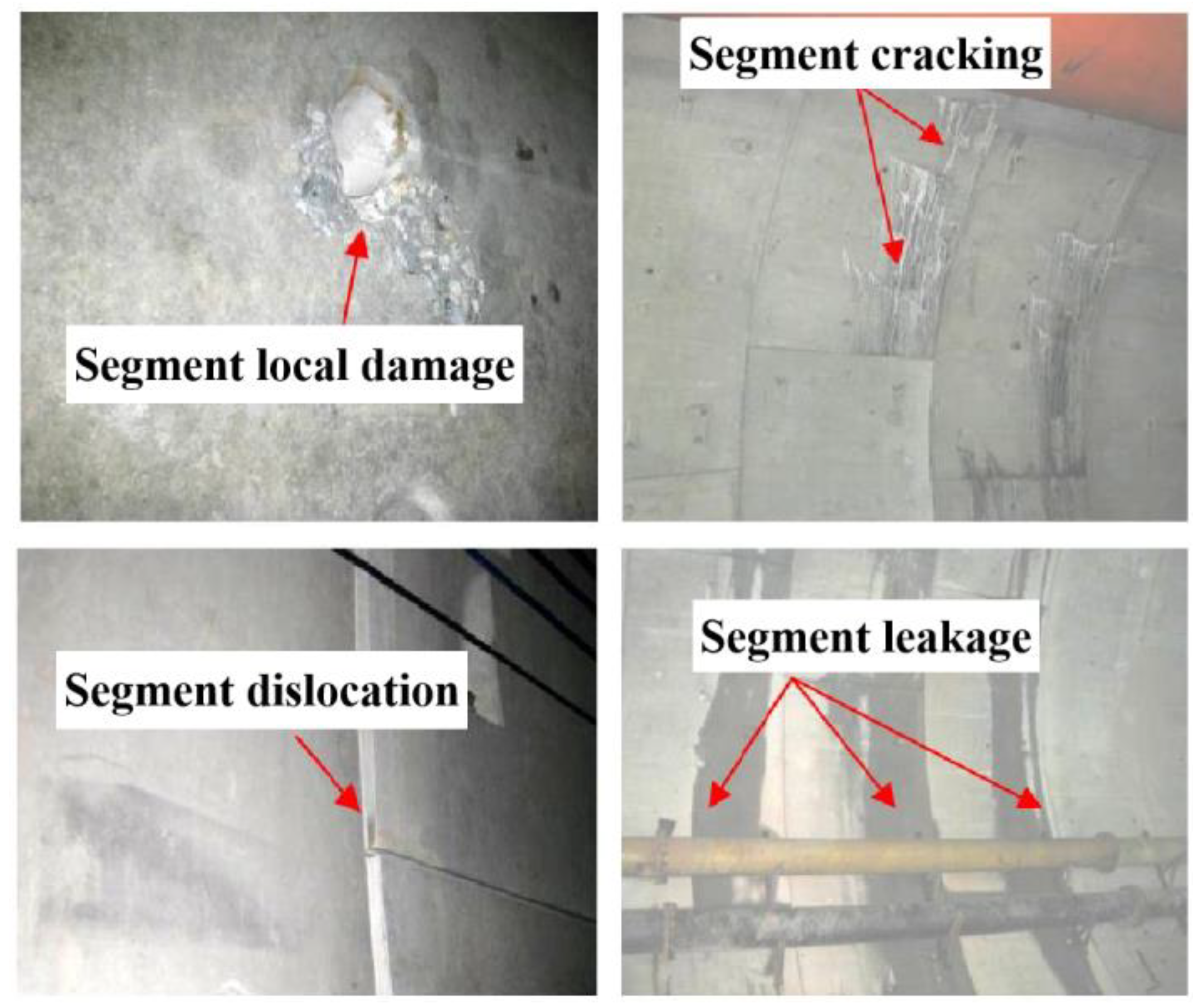 Mechanical Properties of the Shield Tail Brush and Its Pressure ...