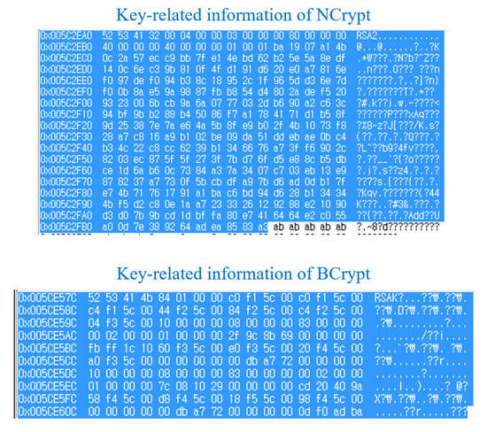 Analysis of Key Storage Mechanism of Asymmetric Key-Related Functions in CNG Crypto Library