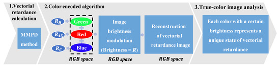 Distinguishing Malignant Melanoma and Benign Nevus of Human Skin by ...