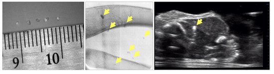 Comparing the Accuracy of Micro-Focus X-ray Technology to Standard ...