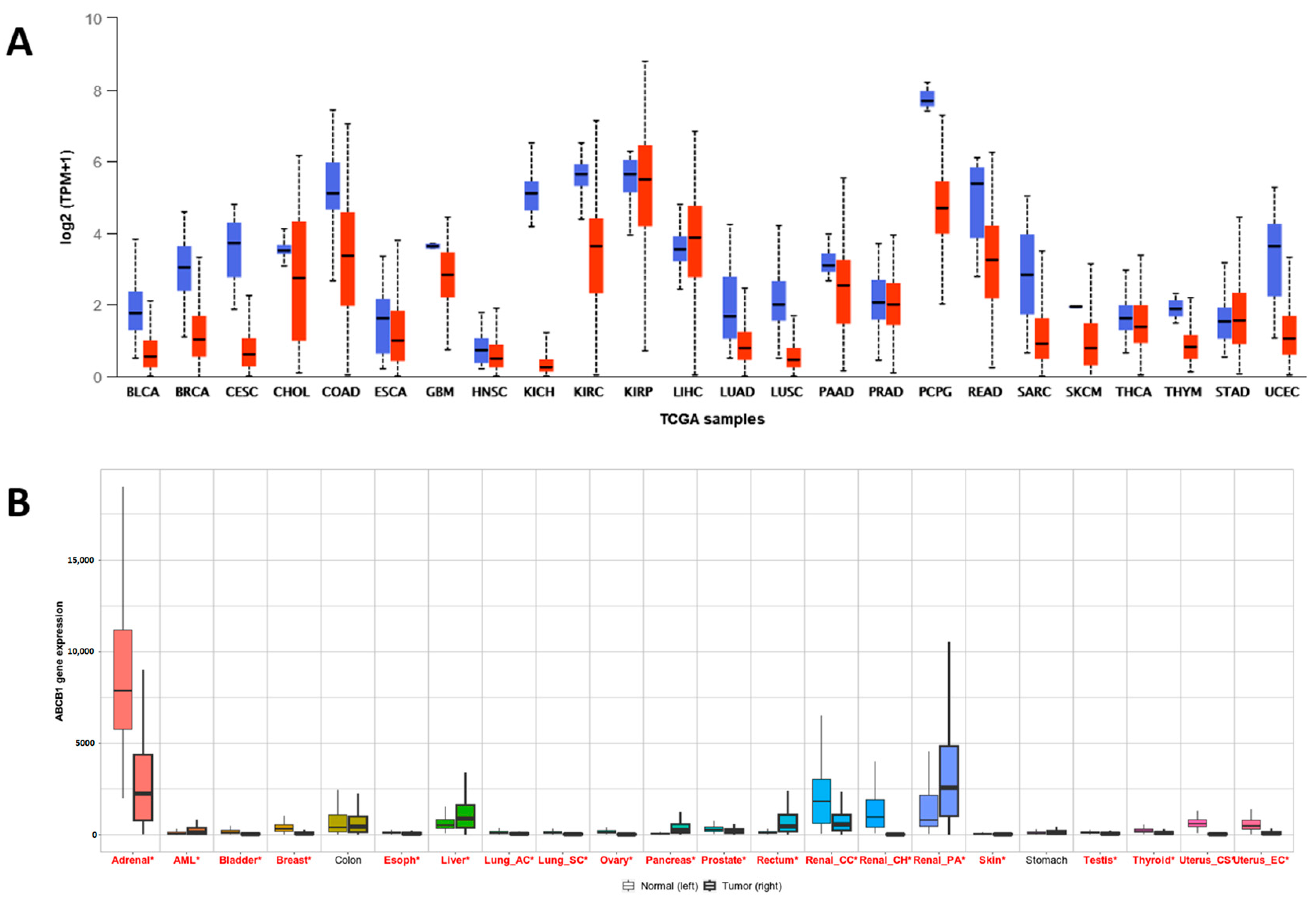 Bioinformatics-Based Characterization of ATP-Binding Cassette Subfamily ...