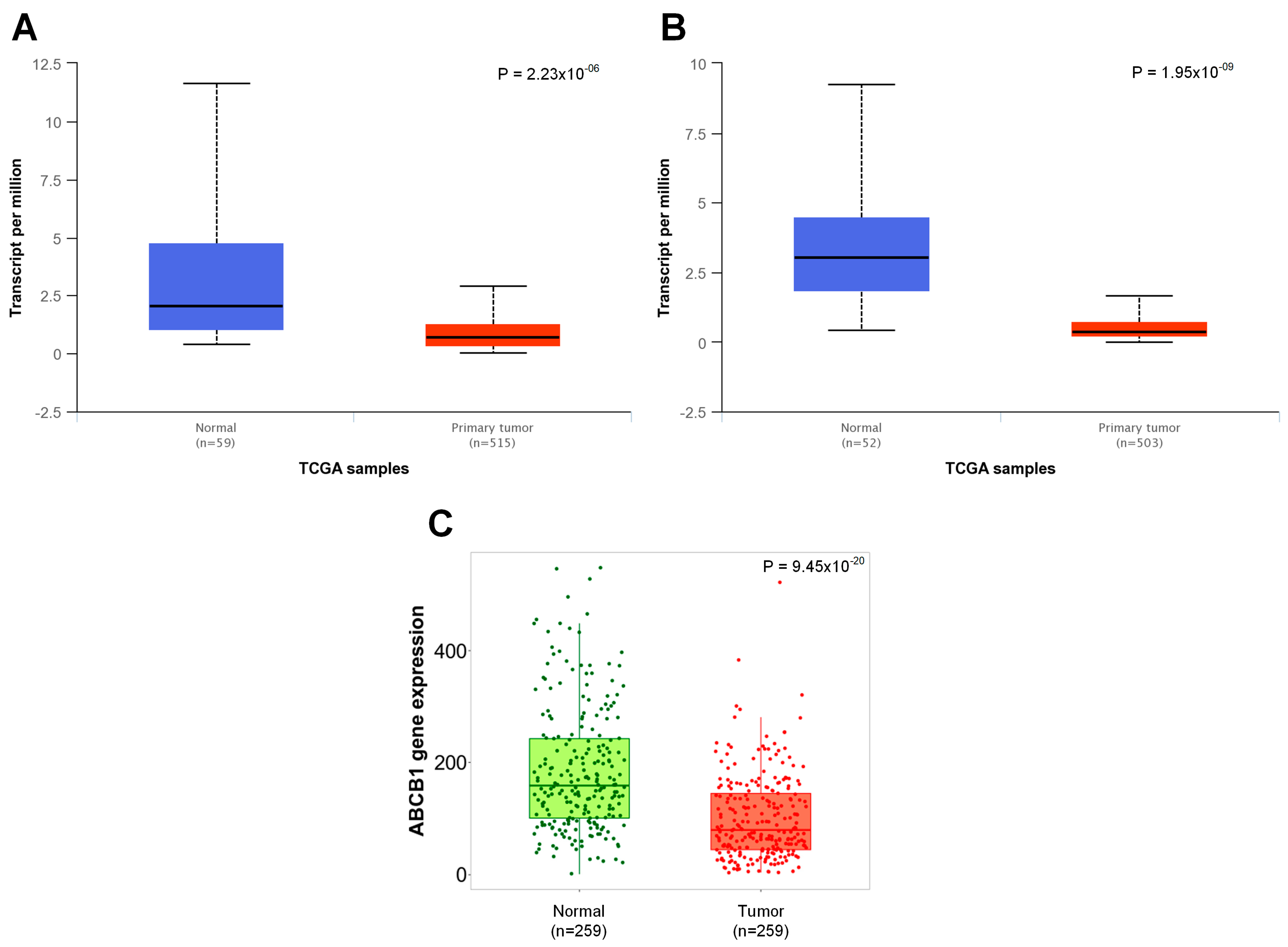Bioinformatics-Based Characterization of ATP-Binding Cassette Subfamily ...