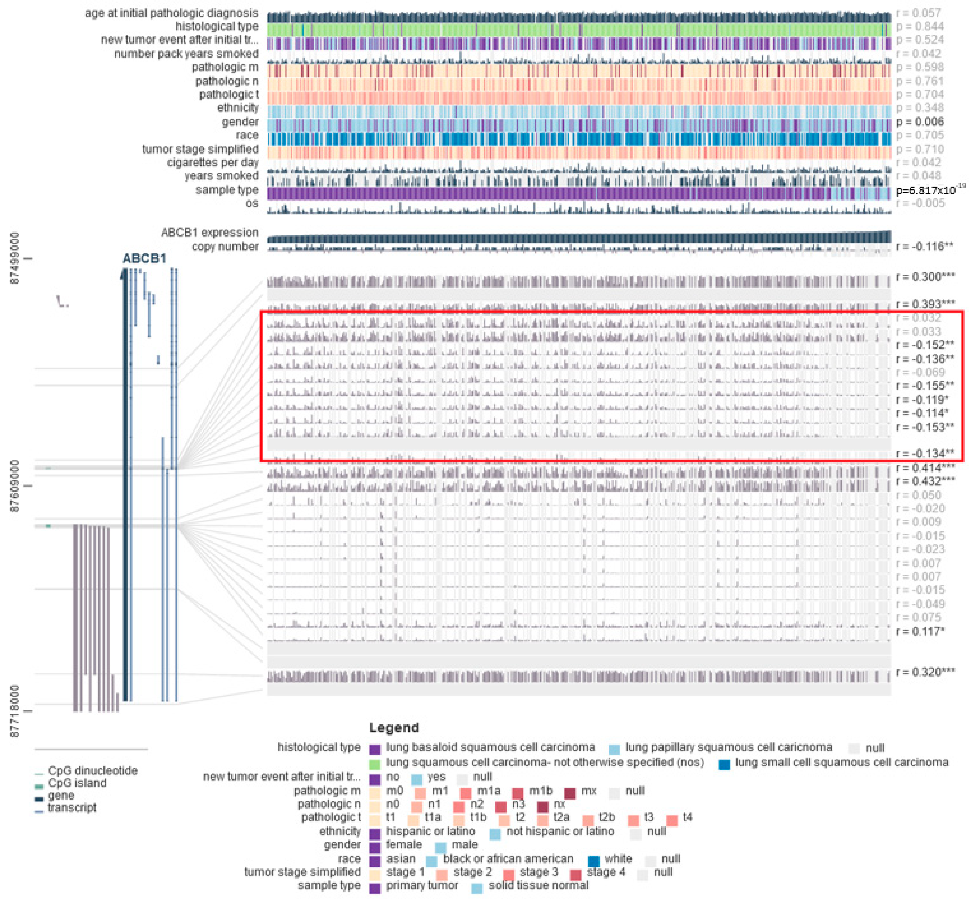 Bioinformatics-Based Characterization of ATP-Binding Cassette Subfamily ...