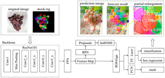 Instance Segmentation and Number Counting of Grape Berry Images Based ...