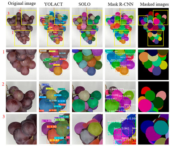 Instance Segmentation and Number Counting of Grape Berry Images Based on Deep Learning
