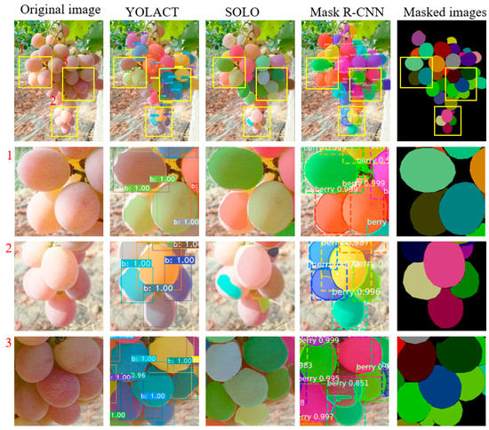 Instance Segmentation and Number Counting of Grape Berry Images Based on Deep Learning