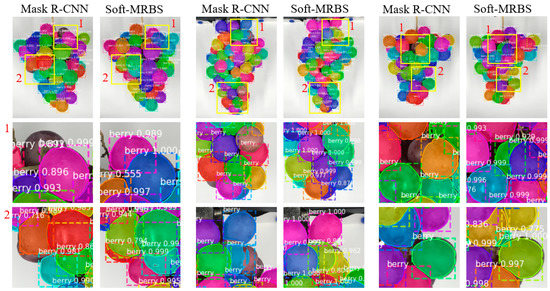 Instance Segmentation and Number Counting of Grape Berry Images Based on Deep Learning