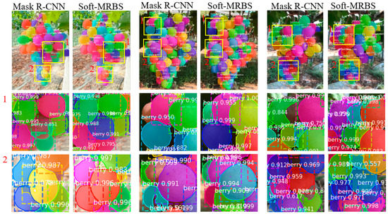 Instance Segmentation and Number Counting of Grape Berry Images Based on Deep Learning
