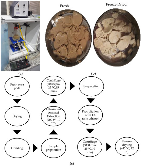 Thermal Properties of Ultrasound-Extracted Okra Mucilage