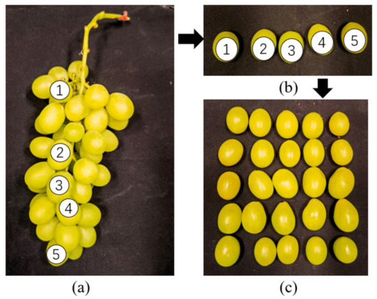 Research on an Improved Non-Destructive Detection Method for the Soluble Solids Content in Bunch ...