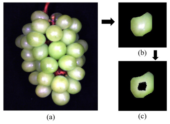 Research on an Improved Non-Destructive Detection Method for the Soluble Solids Content in Bunch ...
